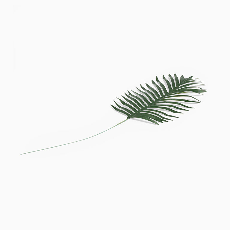 Decorative palm blade for thematic parties and birthdays – Oh Yeah! by ...